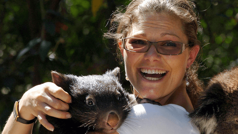 El wombat es el único animal que hace popó cuadrada: la ciencia explica ...