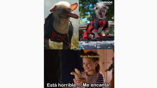'Deadpool & Wolverine': Dogpool era 'el perro más feo del mundo', pero ...