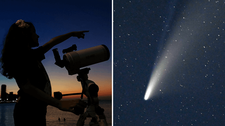¿Un cometa es lo mismo que una estrella fugaz? Origen, duración ...