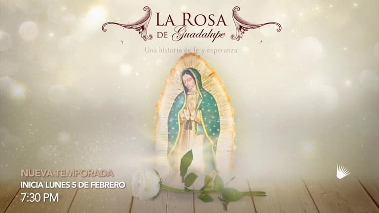 ¡No te pierdas el estreno de la temporada 17 de La Rosa de Guadalupe ...