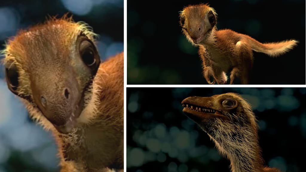Grupo de científicos revela cómo era el T-Rex bebé y morirás de ternura ...