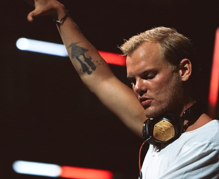 Avicii batalló contra el alcohol antes de su muerte | Las Estrellas ...