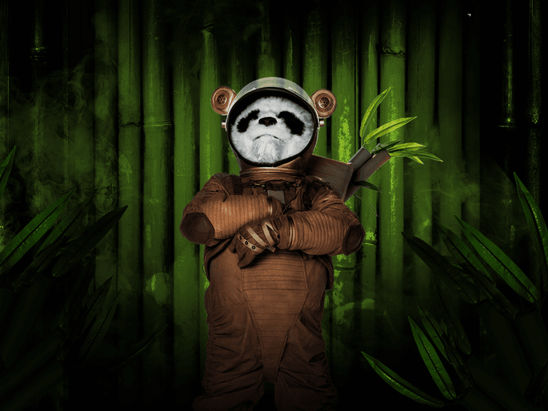 Aquí van las primeras pistas de Panda de ¿Quién es la Máscara? | Shows ...