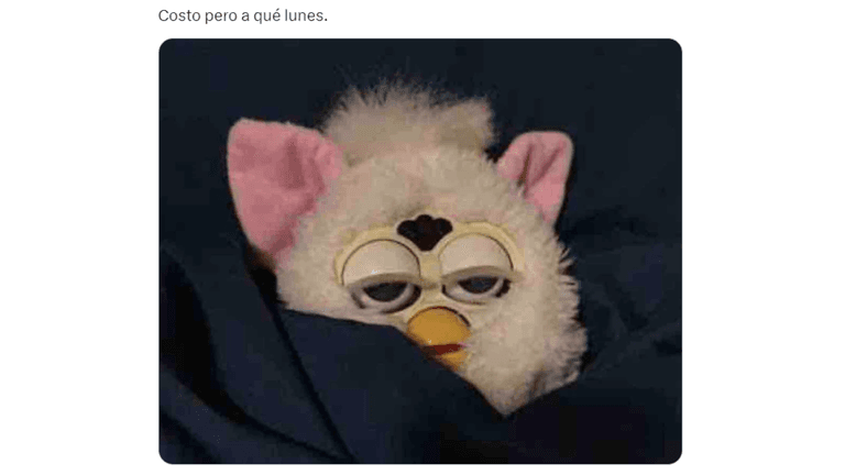 Los mejores memes de lunes: son tan graciosos que te ayudarán a ...
