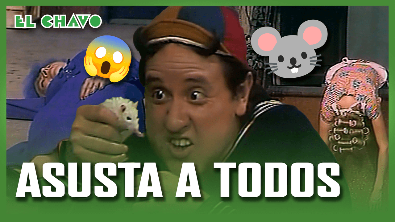 El Chavo del 8: El ratón de Quico | Shows El Chavo | Las Estrellas