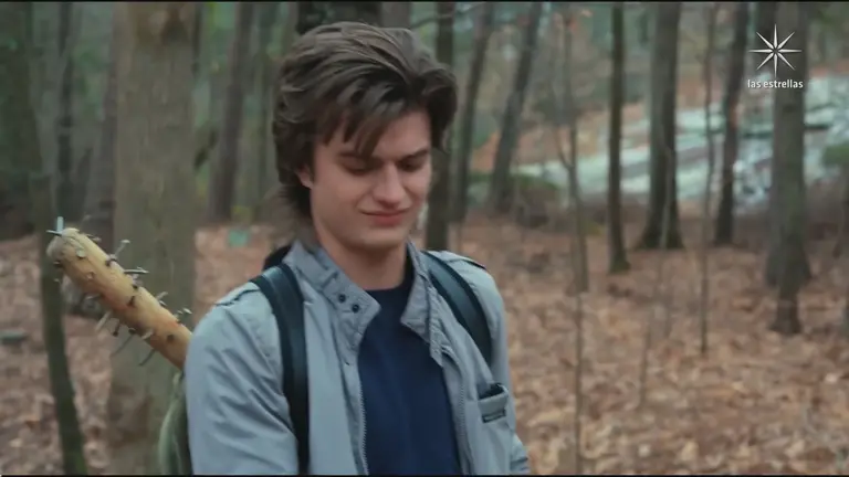 El actor de "Stranger Things" que se ha convertido en el número 1 de ...