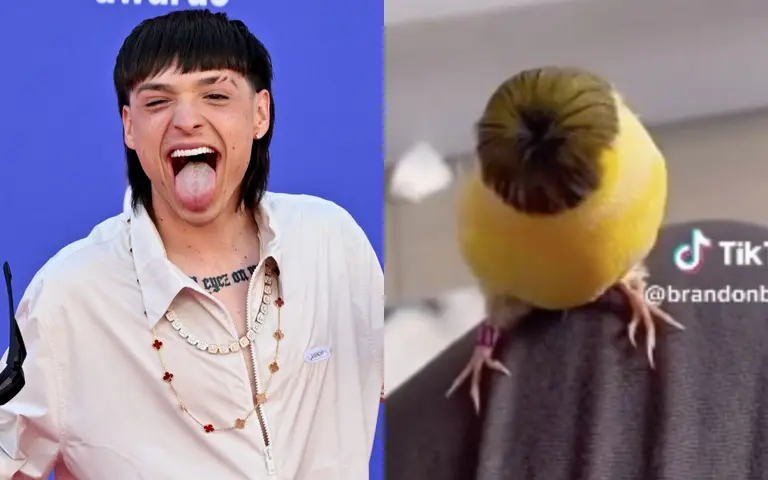 ¿Peso Pluma o Anuel? El corte de este pollito 'tumbado' enloquece ...