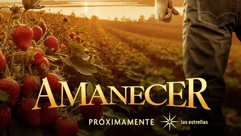 Amanecer: Conoce a todo el elenco de la nueva telenovela de Juan Osorio | Shows Famosos | Las ...