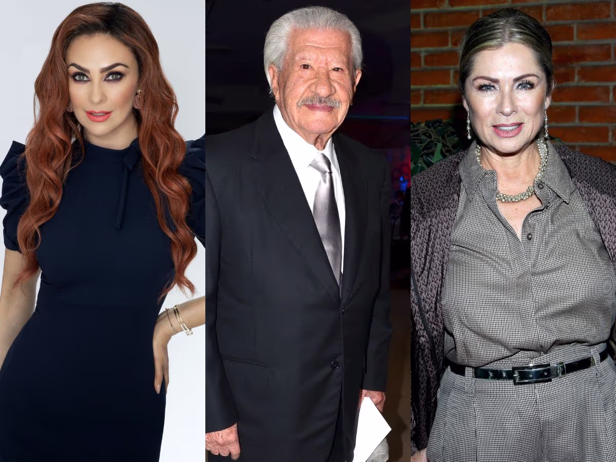 Aracely Arámbula, Lety Calderón y otros famosos que recibieron herencia ...