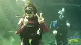 MÉXICO DE DICHOS: Cuando el río suena es.... en Las Estacas | Shows ...
