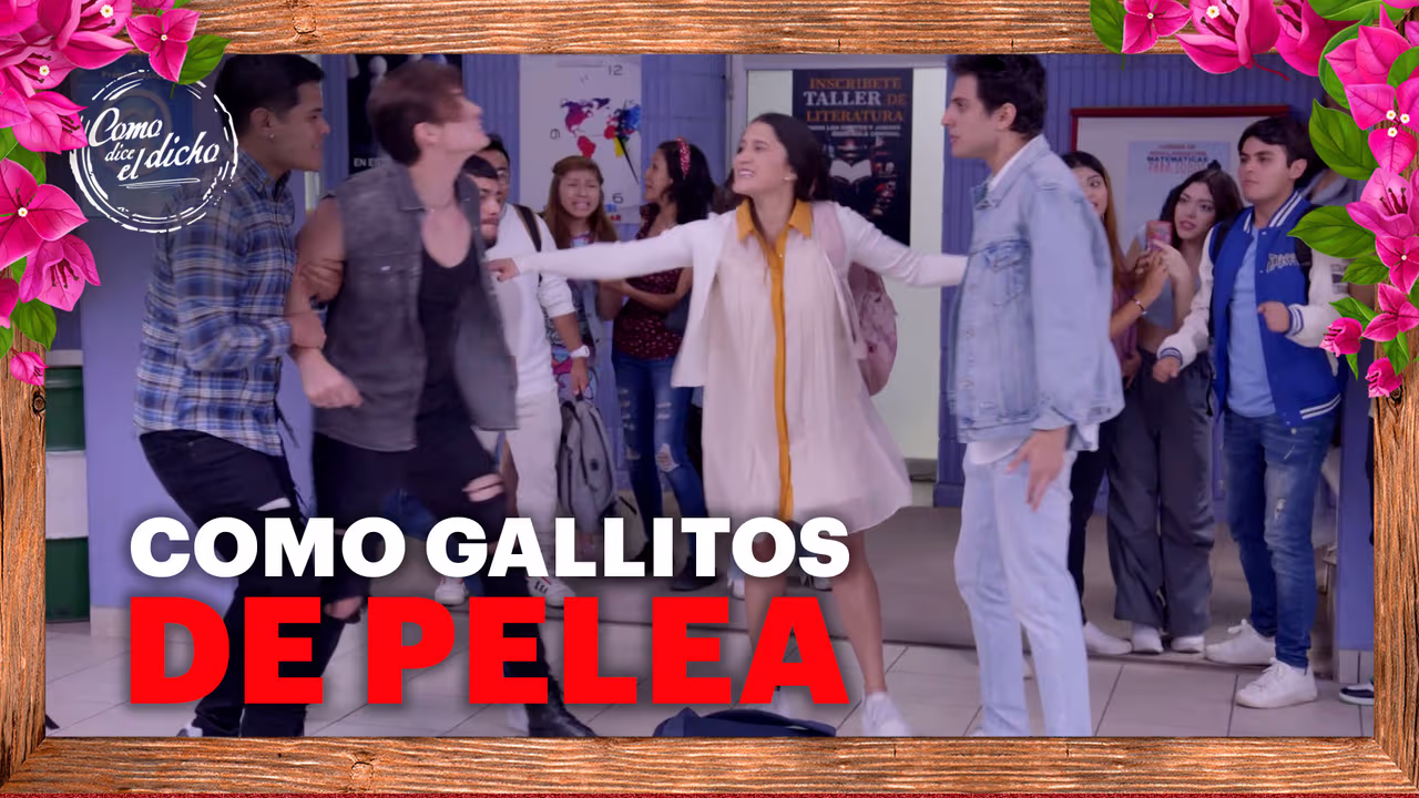 Yatziri descubre que Jaira es quien pone a pelar a Germán y a Ricardo ...
