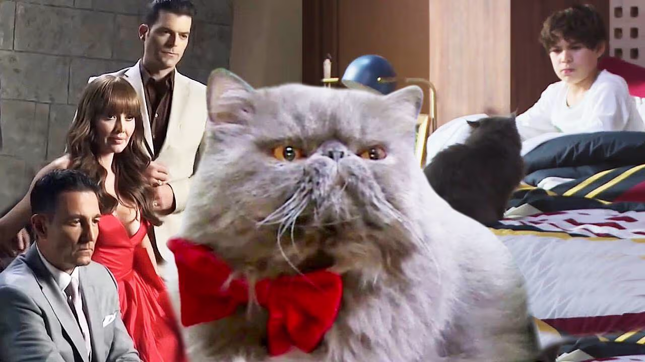 ‘Leo’ es el gato persa que aparecerá en momentos clave de ‘El Maleficio ...