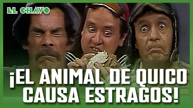 El Chavo del 8: El Ratón | Shows El Chavo | Las Estrellas