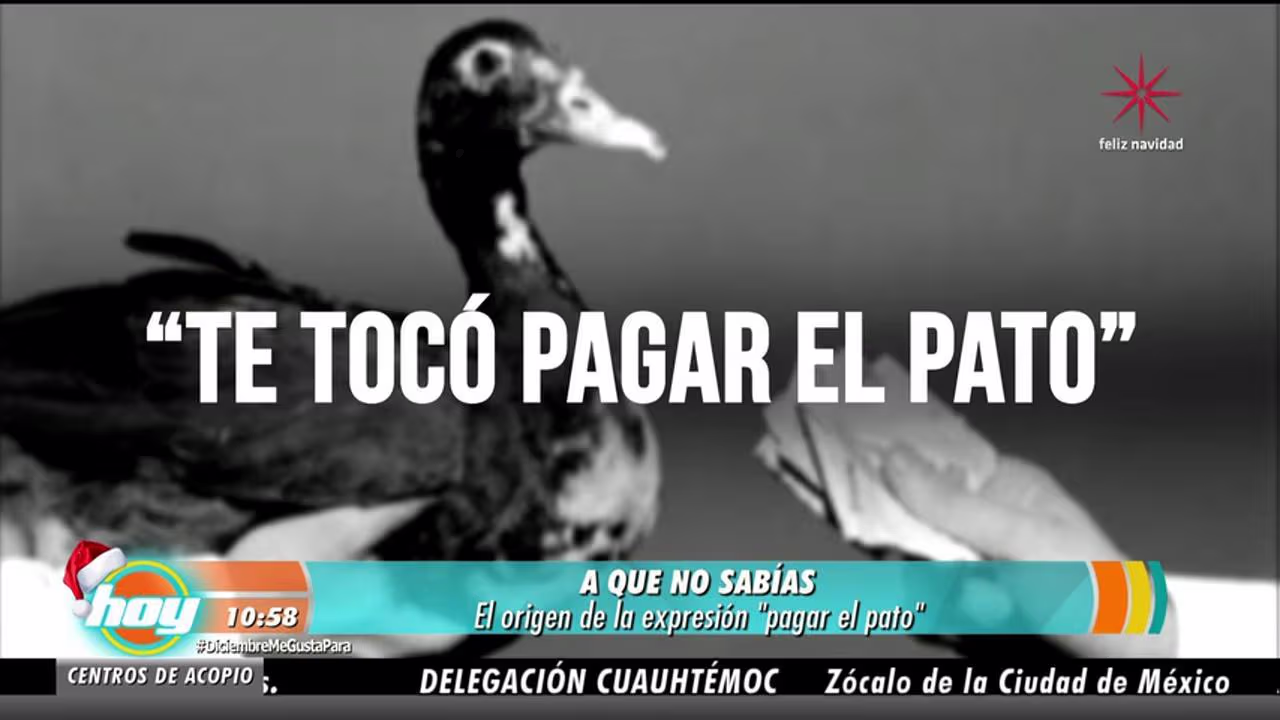 Checa el origen de "Pagar el Pato" | Shows Hoy | Las Estrellas