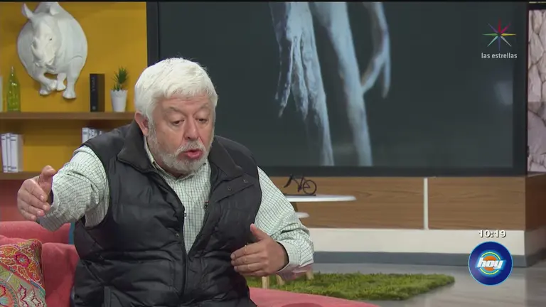 ¿Las increíbles momias de Nazca eran extraterrestres? | Shows Hoy | Las ...