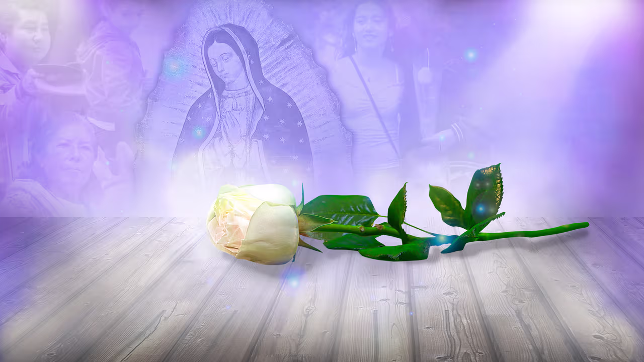 ¿A qué hora empieza La Rosa de Guadalupe? | Shows La Rosa de Guadalupe ...