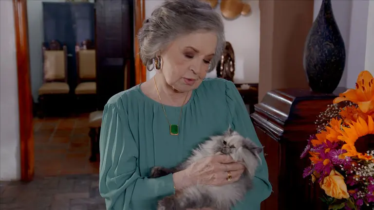 La Rosa de Guadalupe: El bienestar del compañero de vida de Matile ...