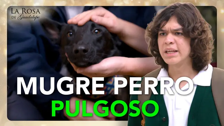 Tito no quiere a Rocky porque dice que es un perro “mugroso” y “pulgoso” | Shows La Rosa de ...