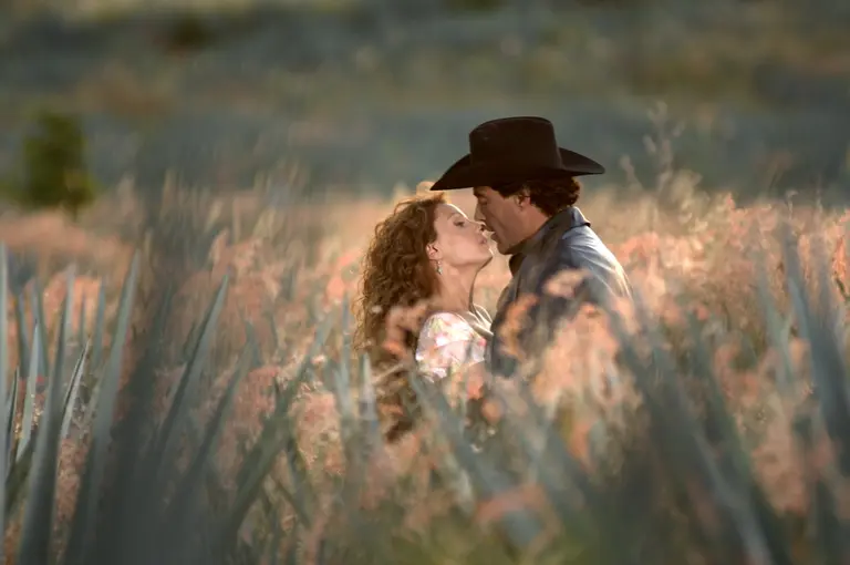 Disfruta todos los capítulos de Destilando Amor por blim tv | Shows ...