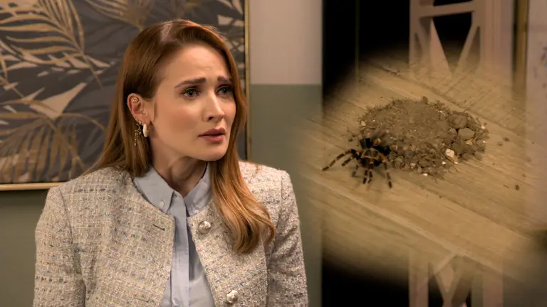 Rebeca le deja una tarántula a Angelli | Shows Vivir de Amor | Las ...